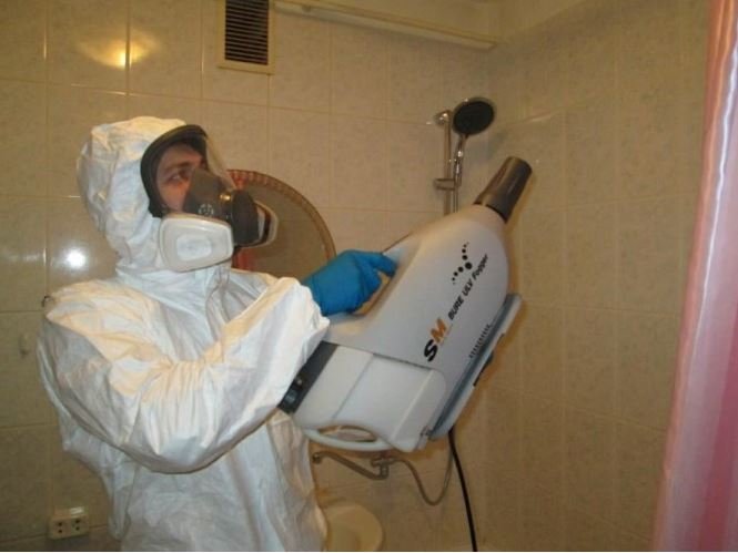 Cum scapi de plosnitele de pat - Ce metode de combatere exista